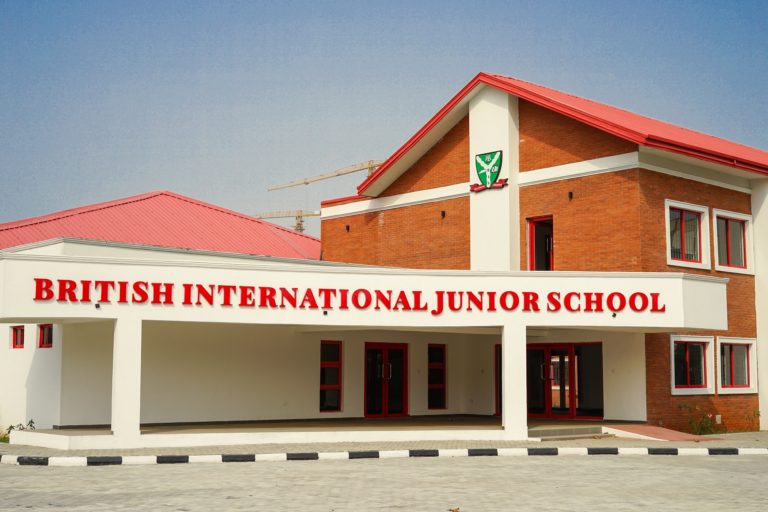 Home [bisnigeria.org]